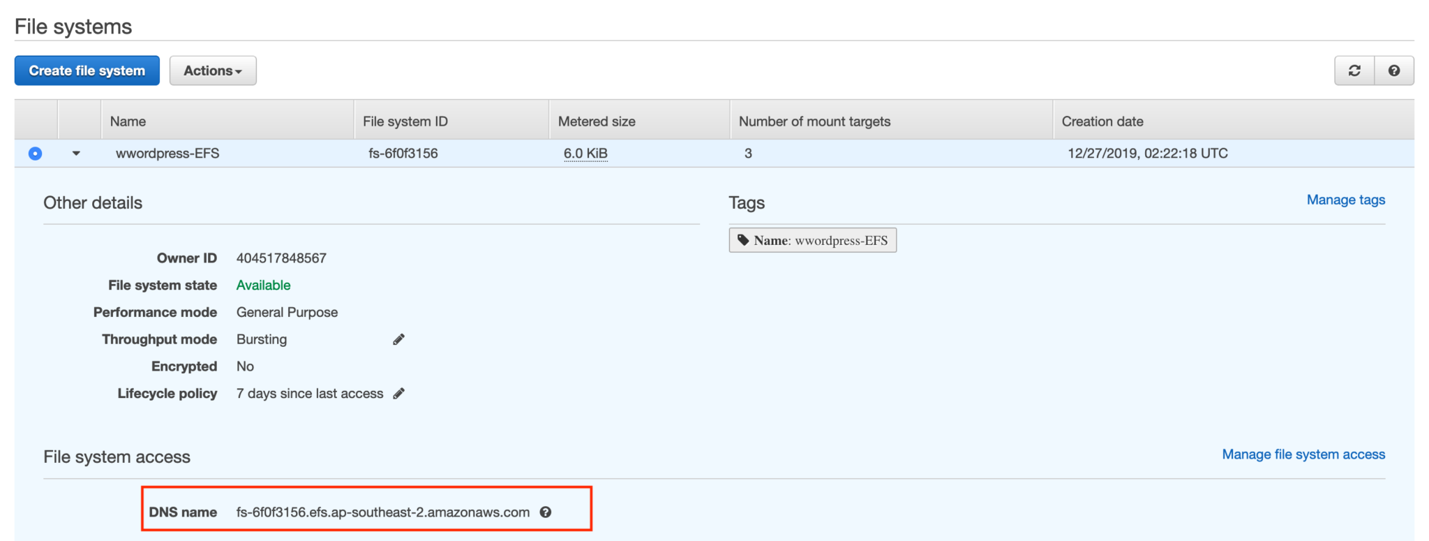 Create Aws Efs Elastic File System Plugin Storage For Wordpress Behind Load Balancer Salzam